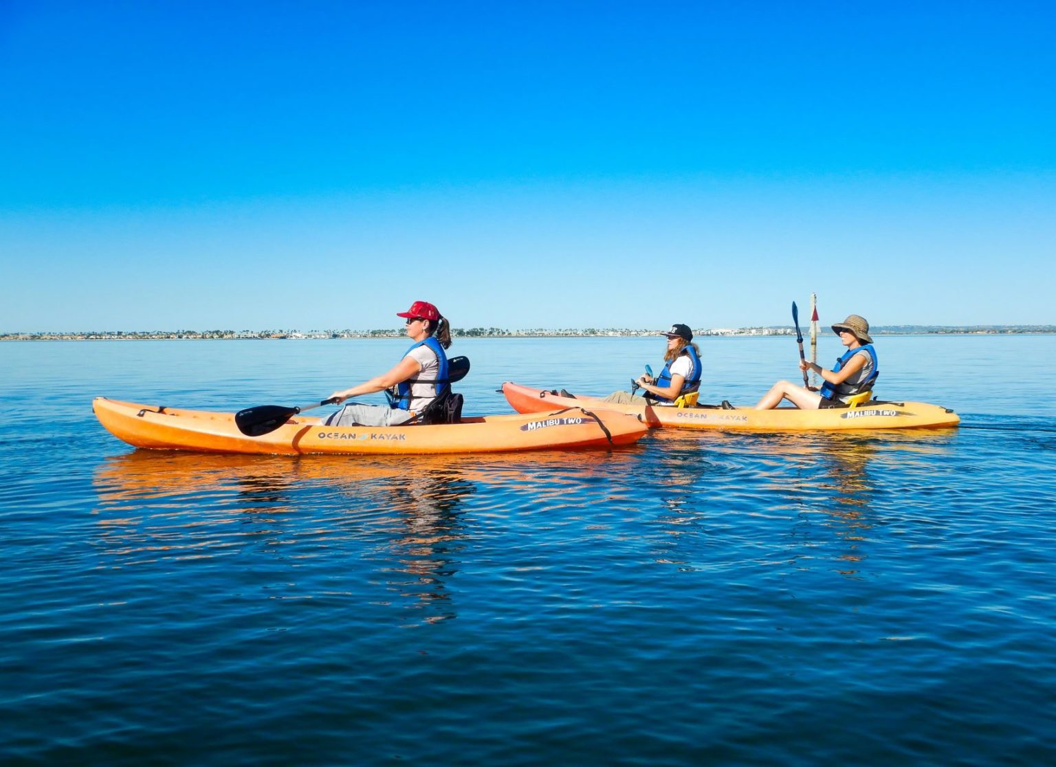 Wildin’ Mission Bay – Ocean Connectors