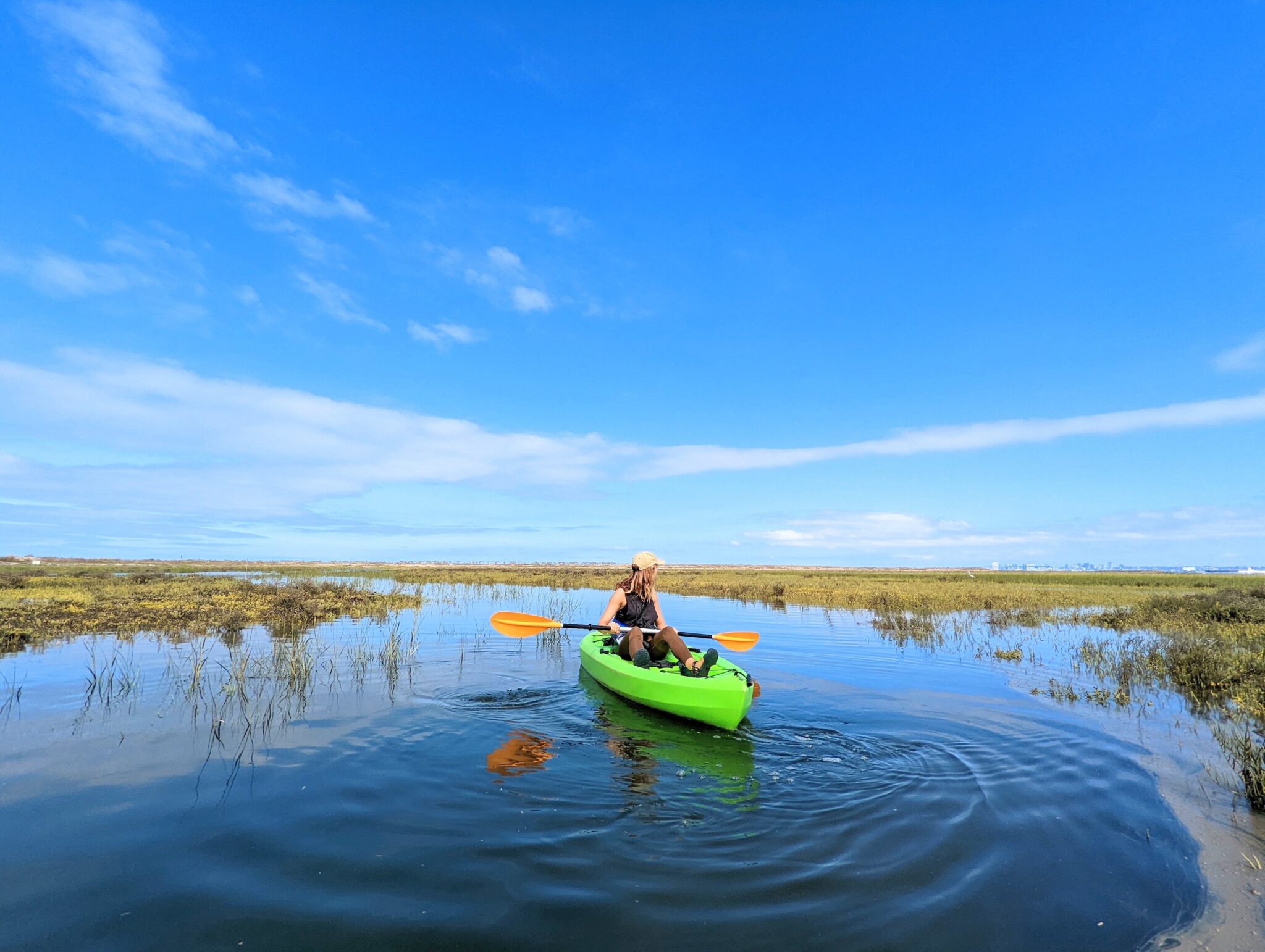 Wildlife Kayaking – Ocean Connectors